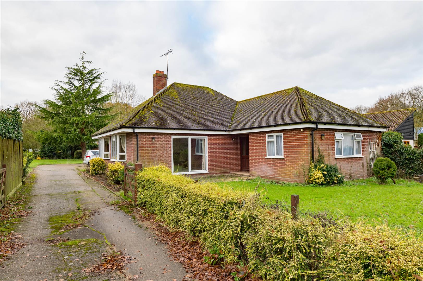 Millfield Wood, Millwood Road, Polstead - 17469447 - Chapman Stickels